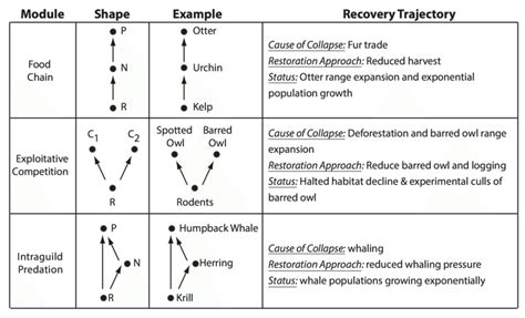 Three Species Community Modules Food Chain Exploitative Competition