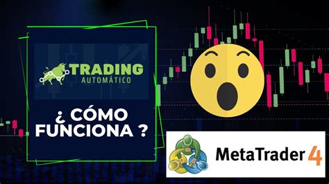 Como Usar Metatrader 4 Mt4 En Forex Tutorial Bien Explicado Youtube