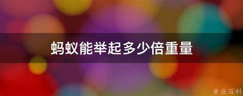 蚂蚁能举起多少倍重量 业百科