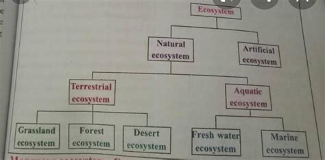 How To Draw Environment Chart