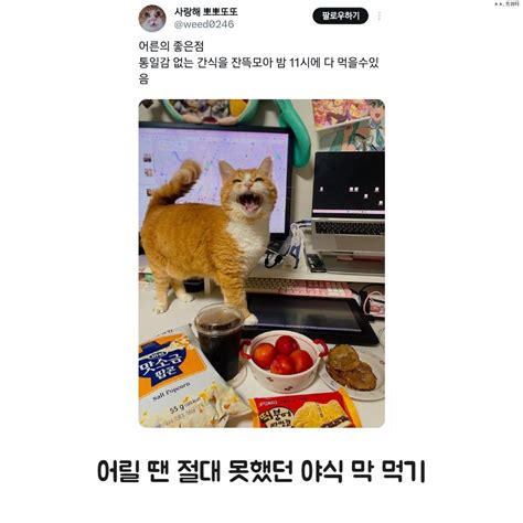 어른이 좋음 점 유머 움짤 이슈 에펨코리아