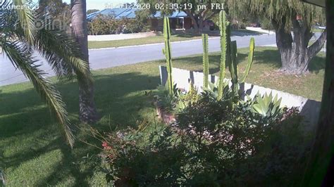 Reviews On Reolink Camera E1 Pro With Night Vision And Smart Alerts Reviews On Reolink Camera E1 Pro With Night Vision And Smart Alerts