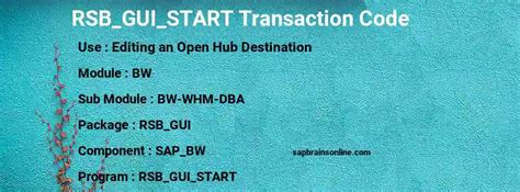 RSB GUI START SAP Tcode For Editing An Open Hub Destination