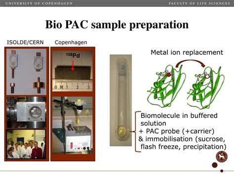Ppt Biochemical Applications Of Perturbed Angular Correlation Of γ Rays Pac Spectroscopy