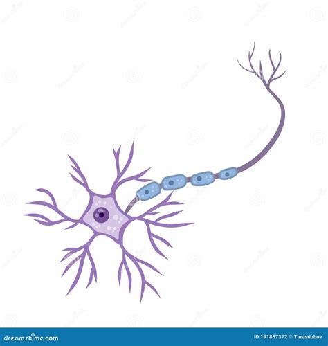 Neuron Comic