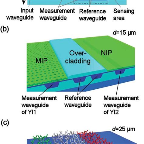 A Top View Illustration Of The Sensor Chip With Names Of The Parts Download Scientific