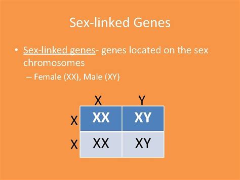 Mendel And Heredity Mendel And Heredity Terms Gregor
