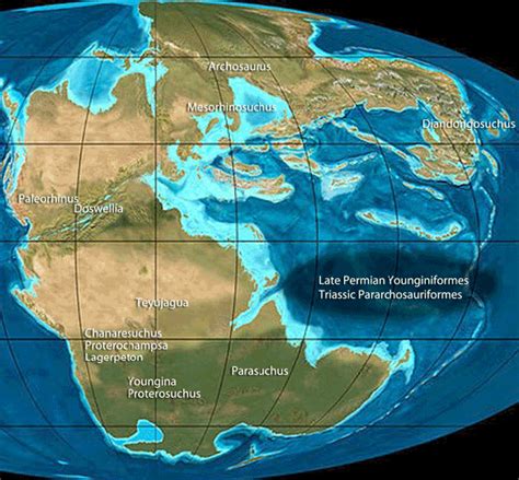 Triassic Dinosaurs Stopped By Climate Zones The Pterosaur Heresies