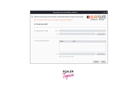 What Is Burp Suite Scaler Topics