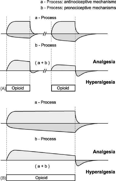 The ‘opponent Process Theory Demonstrates The Function Of An Download Scientific Diagram