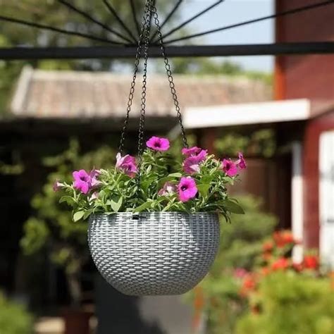 Hanging Pots Explore Our Stylish Collection Of Hanging Pots For Plants