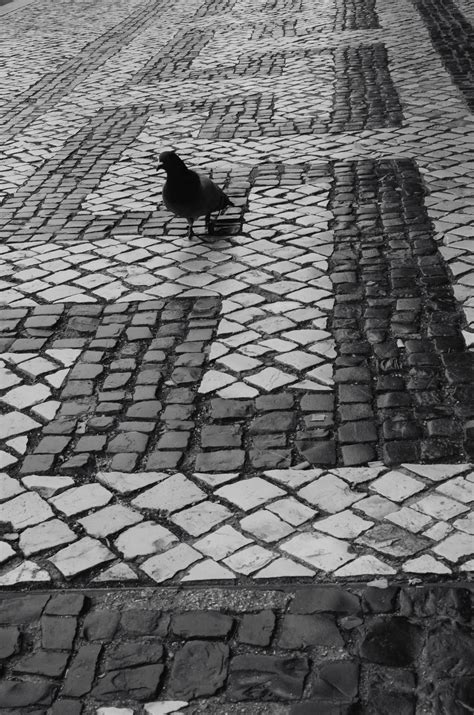 Bbbbbbbbbbbbbbbbbbbbxcw Photos Download The Best Free