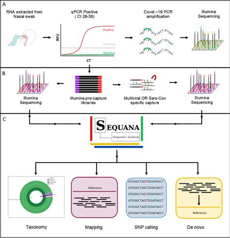 Overview Of The Study Design A RNA Extraction From 20 Samples Download Scientific Diagram