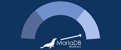 Che Cosè Maxscale Un Proxy Per I Database Mariadb E Mysql