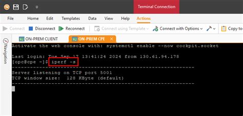 Use Iperf To Test The Throughput Inside An Oci Hub And Spoke Vcn Routing Architecture