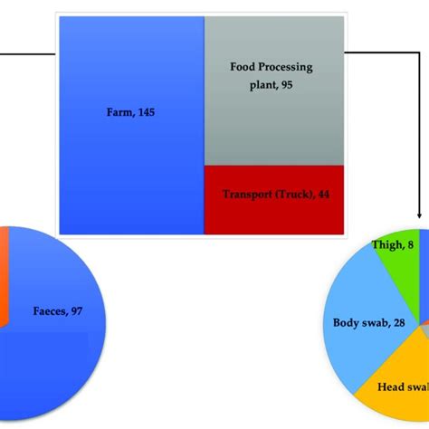 Distribution Of Various Enterococcus Species Along The Farm To Fork