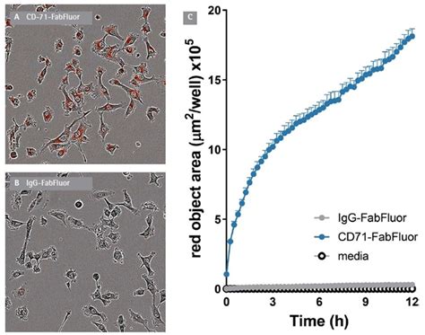 Fluorescent 96 Well Antibody Internalization Assays
