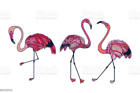 흰색 배경 앞에 세트 플라밍고의 그림 플라밍고 세 개 벡터 일러스트eps10 귀여운에 대한 스톡 벡터 아트 및 기타 이미지 귀여운 깃털 다중 색상 Istock