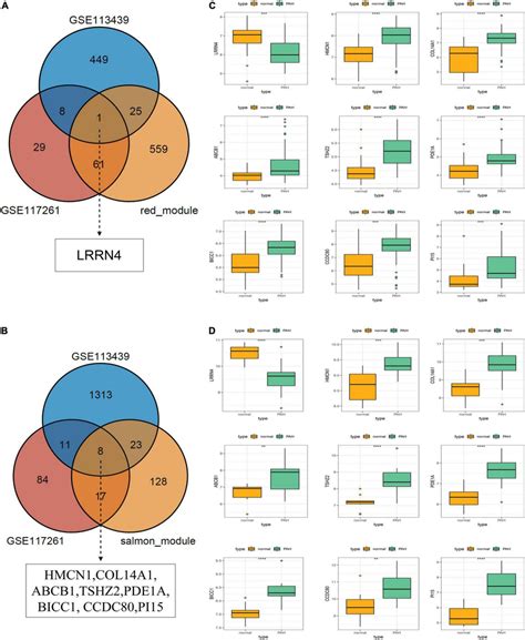 Selection And Validation Of Key Regulatory Genes A Venn Diagram To Download Scientific