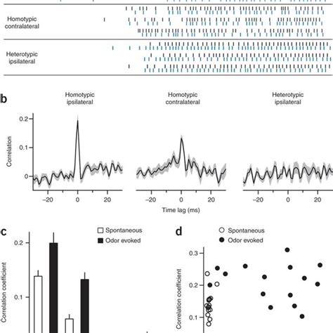 Correlations In Spontaneous Activitya Simultaneous Cell Attached Download Scientific Diagram