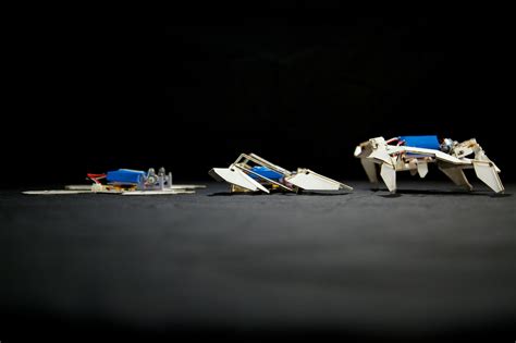 A Self Organizing Thousand Robot Swarm