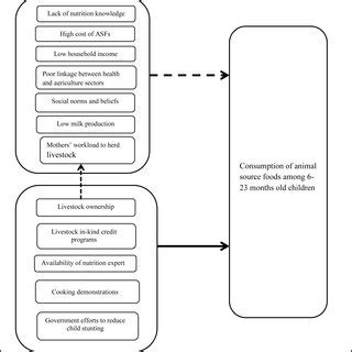 Schematic Representation Of The Sampling Procedure For The Qualitative Download Scientific