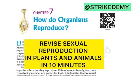 HOW DO ORGANISM REPRODUCE CHAPTER CLASS SEXUAL REPRODUCTION YouTube