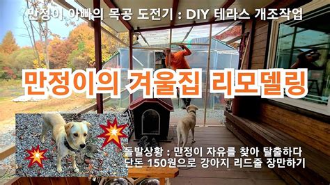 DIY 시골개 만정이를 위한 겨울집 만들기 각목과 방풍비닐 나무몰딩으로 방한 방풍 작업 했어요 YouTube