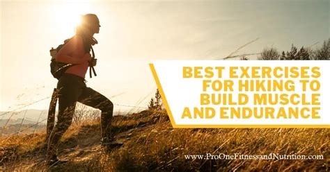 Best Exercises For Hiking To Build Muscle And Endurance