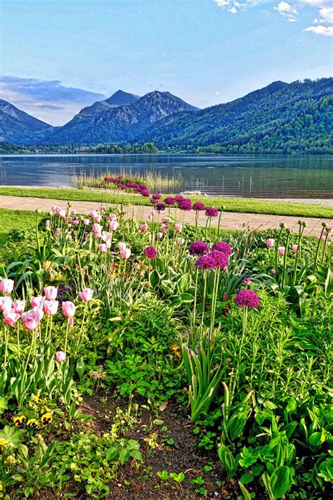 무료 이미지 경치 식물 농장 목초지 대초원 호수 골짜기 시골의 풍경화 자연스러운 지독한 농업 정원 플로라 야생화 꽃들 산들 생태계 농촌