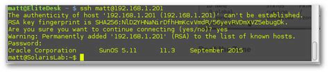 Configure Solaris 11 Iscsi Initiator Cyberfella Ltd Enterprise It Sme