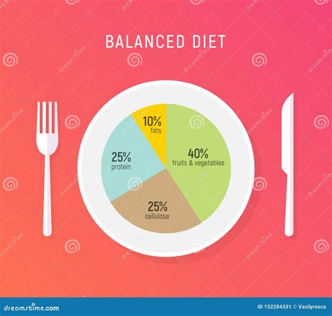 Healthy Diet Food Balance Nutrition Plate Vector Health Meal Chart Infographic Diet Plan
