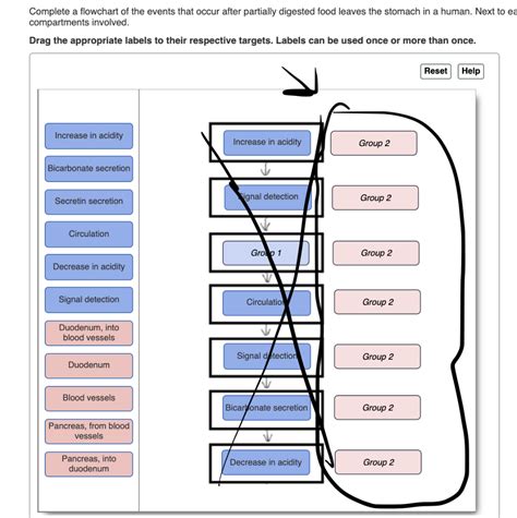 Solved Complete A Flowchart Of The Events That Occur After Chegg