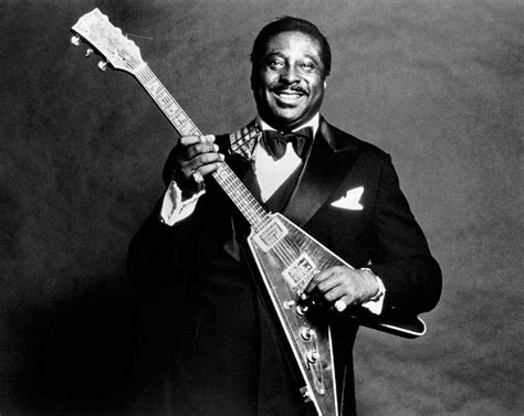 Gibson Flying V The Local Pickup