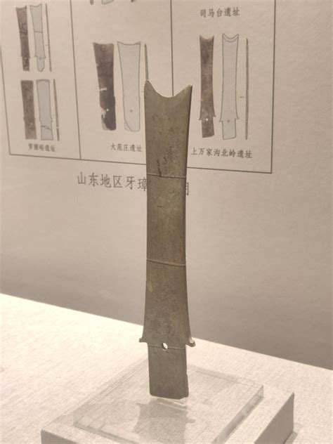 孔子课堂 日出东方山东地区早期礼乐文明的发展系列讲座五 孔子博物馆