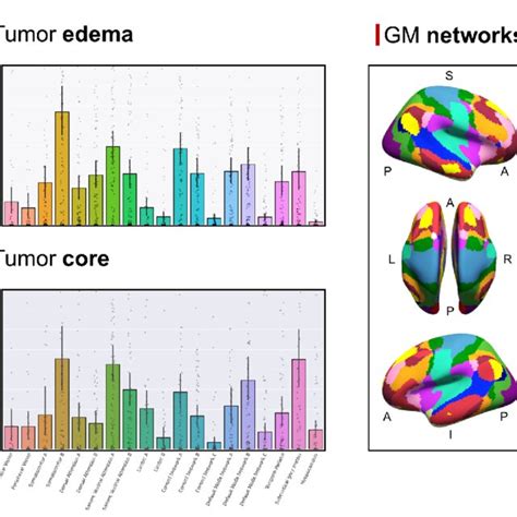 Top Left Section Mean Overlap Percentages Between The Gbm Edema And