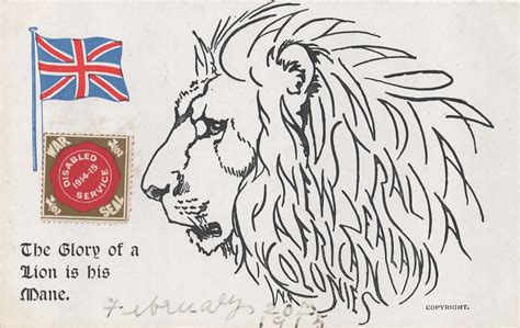 The Glory of a Lion is His Mane | Postcard History