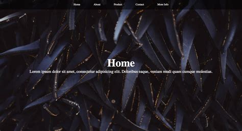 Javascript How To Dim The Body From Navbar Hover Html Css Stack