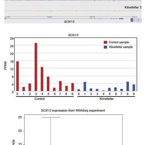 NGS Analysis A Screenshot From Integrative Genomics Viewer IGV For