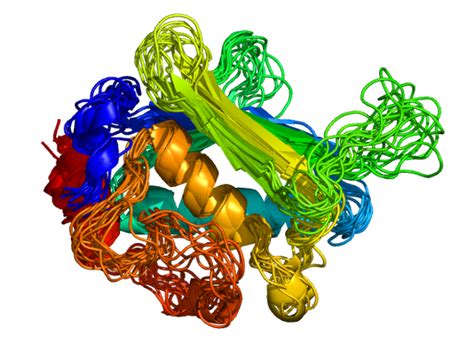 Protein Flexibility Essential For Function More Evidence Of Design