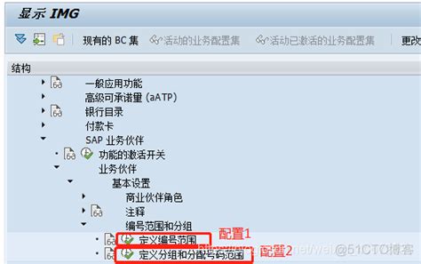 Sap S4 Bp业务伙伴配置 冰河世纪的技术博客 51cto博客