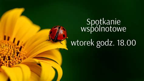 Anna Puternicka Długopis Bardzo Ważny W Pracy Pisarskiej Facebook