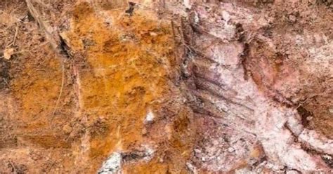 Ionic Rare Earths Makes Cornerstone A600000 Investment In Potential Tier One Ionic Clay Rare