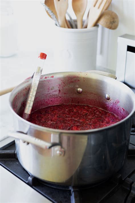 The Easiest Homemade Raspberry Jam Recipe Without Pectin — The Grit