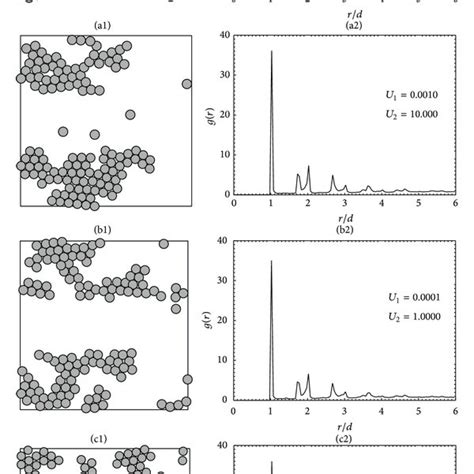 The Monolayer Structures A1 D1 And The Corresponding Radial