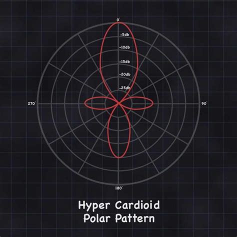 What Is A Shotgun Mic Everything You Want To Know Hollyland