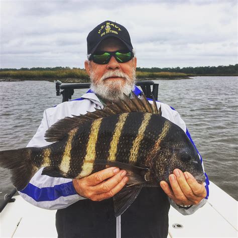 Drum Vs Sheepshead At Susan Burke Blog