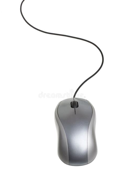 Mouse On Mouse Cyber Sex Stock Photo Image Of Objects Electonics 70342