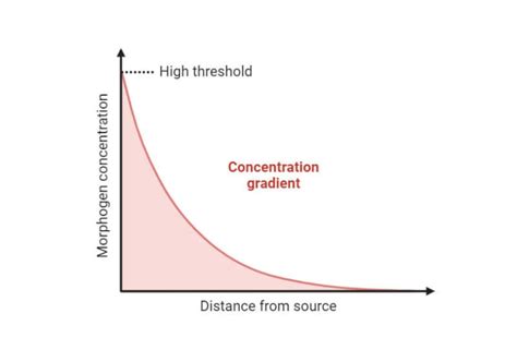 Concentration Gradient Definition Factors Applications